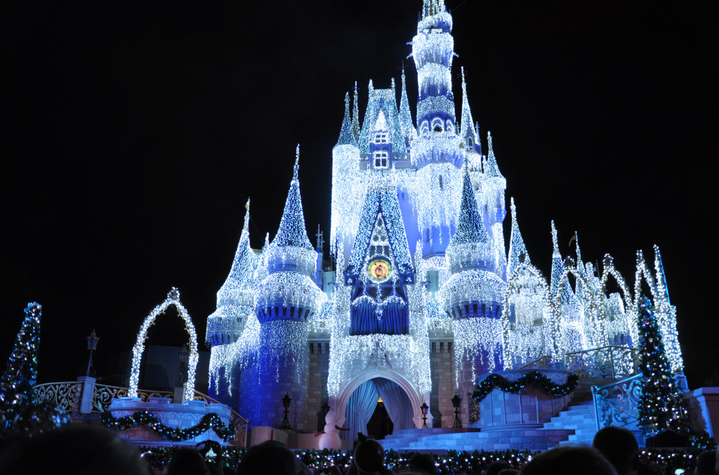DSC_1378 – Living By Disney