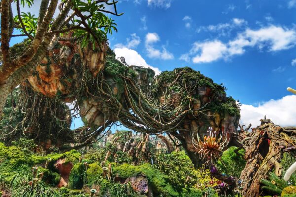 Pandora The World of Avatar: Review – Living By Disney