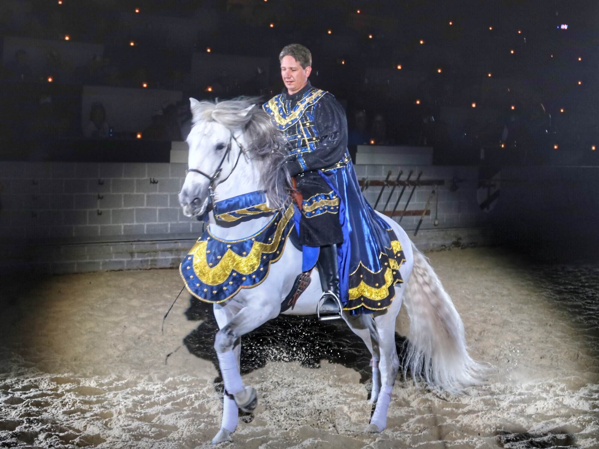 medievaltimes 2 – Living By Disney